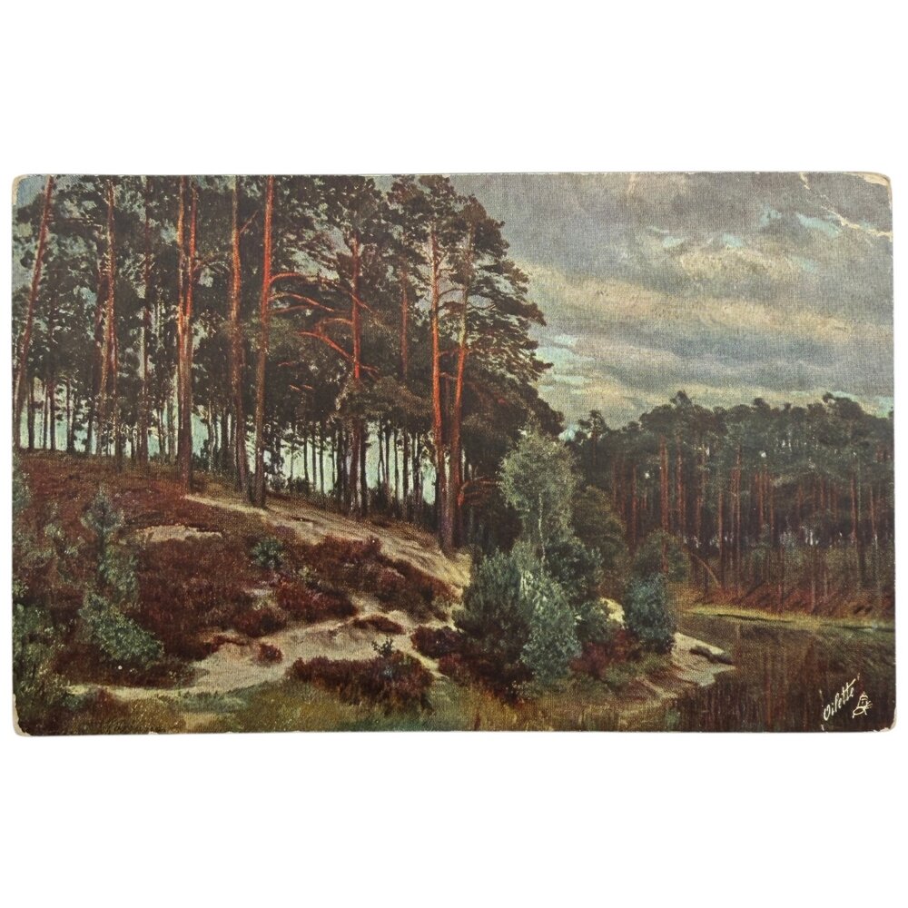 Почтовая открытка "Сосновый бор у реки" 1905-1915 гг. Raphael Tuck & Sons. Великобритания