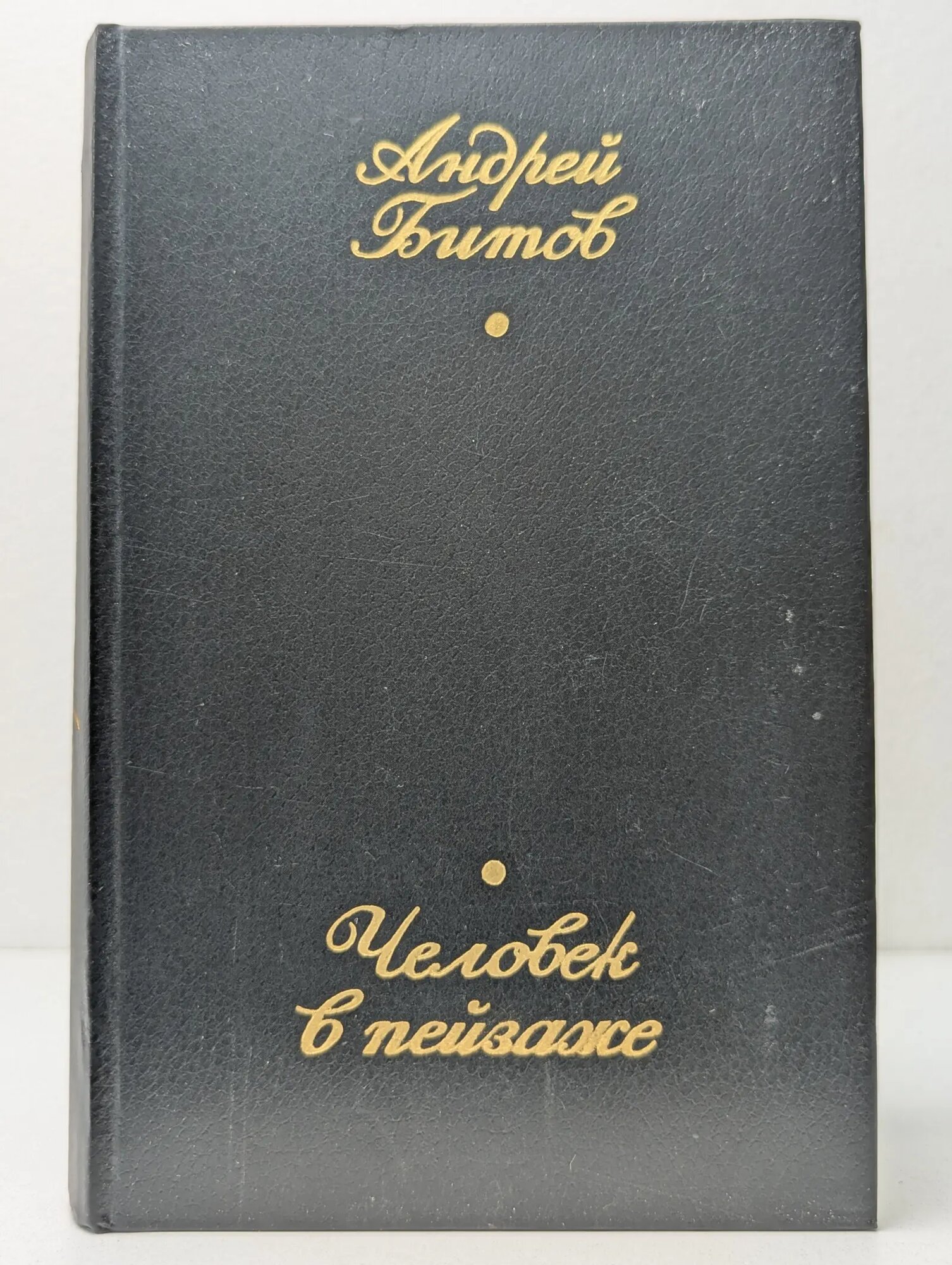 Человек с пейзажем Битов Андрей Георгиевич 1988