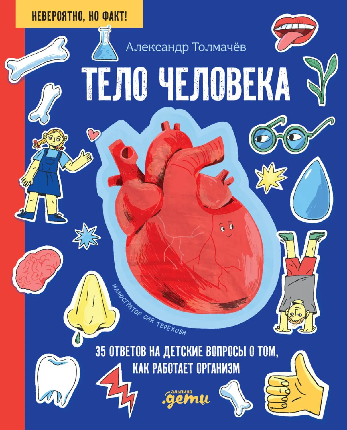 Тело человека. 35 ответов на детские вопросы о том, как работает организм [Цифровая книга]