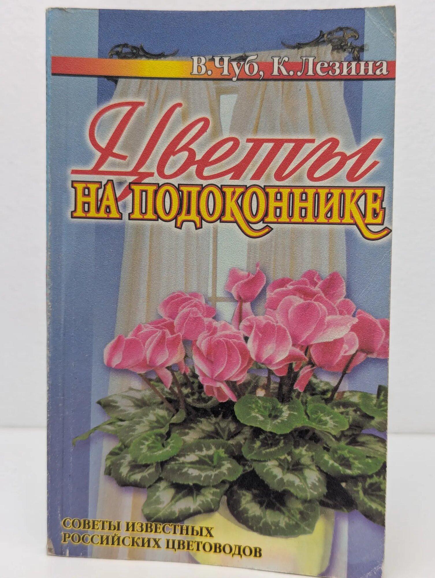 Домашний очаг. Цветы на подоконнике Чуб Владимир Викторович, Лезина Ксения Дмитриевна 1999