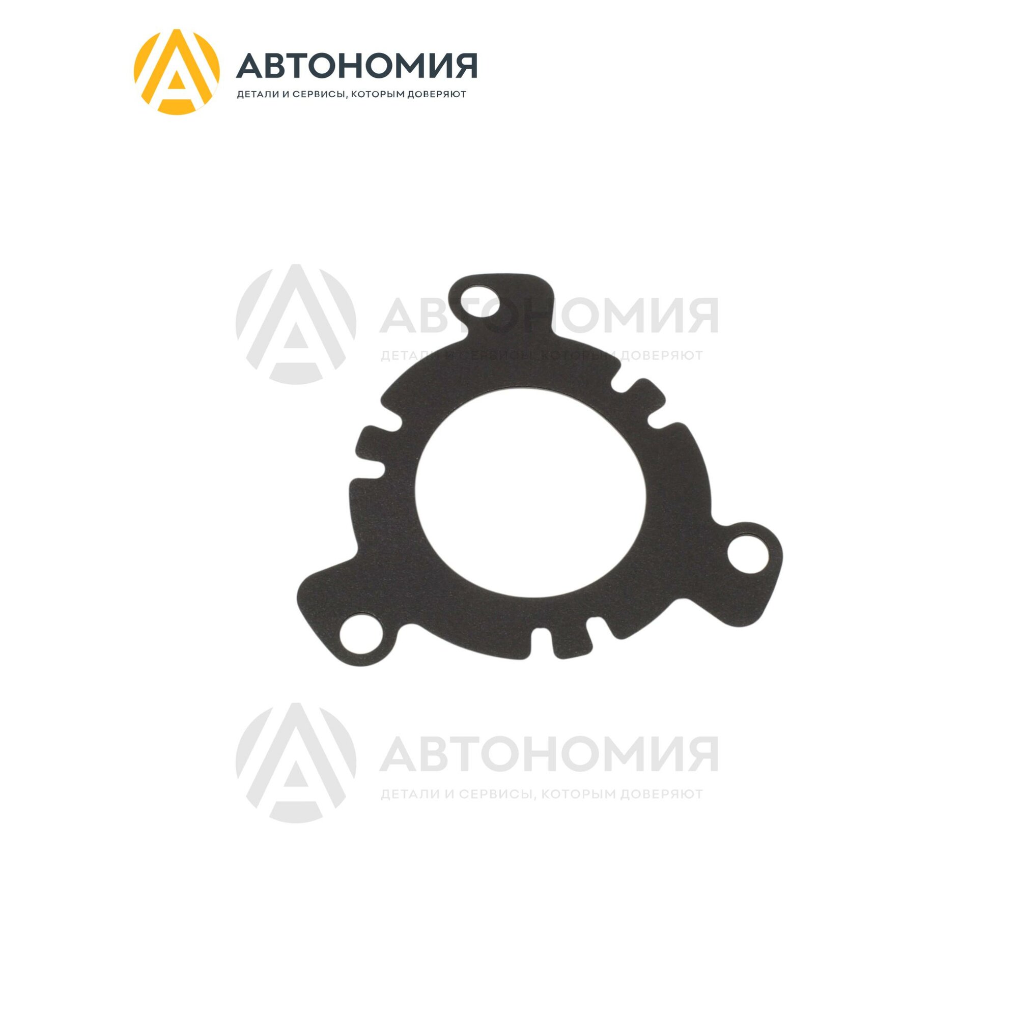 Прокладка тнвд D20 Ford 1670427