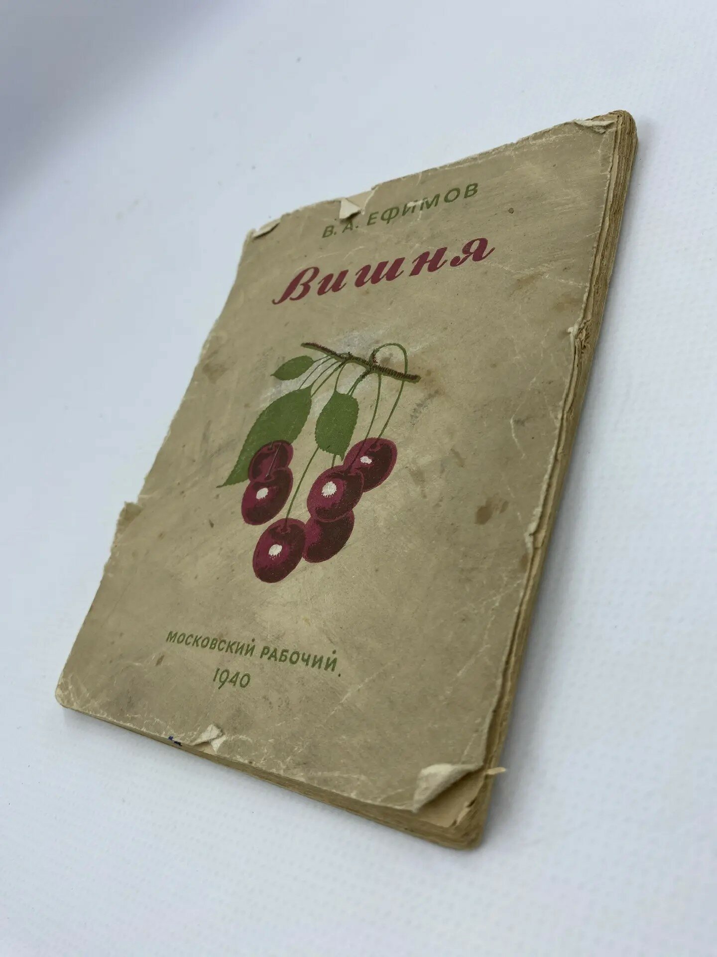 Вишня (1940 год) — фото 1