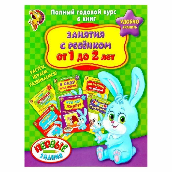 Обучающие книги Полный годовой курс. Серия от 1 до 2 лет , 6 книг по 16 стр, в папке