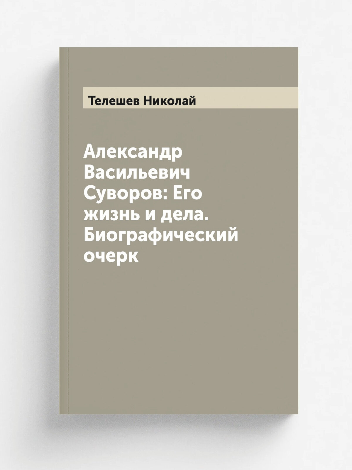 Александр Васильевич Суворов: Его жизнь и дела. Биографический очерк