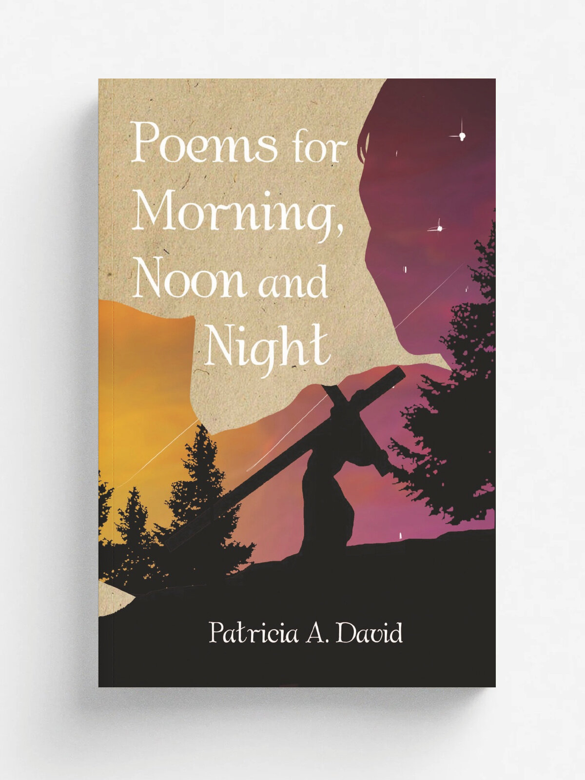 Poems for Morning, Noon and Night