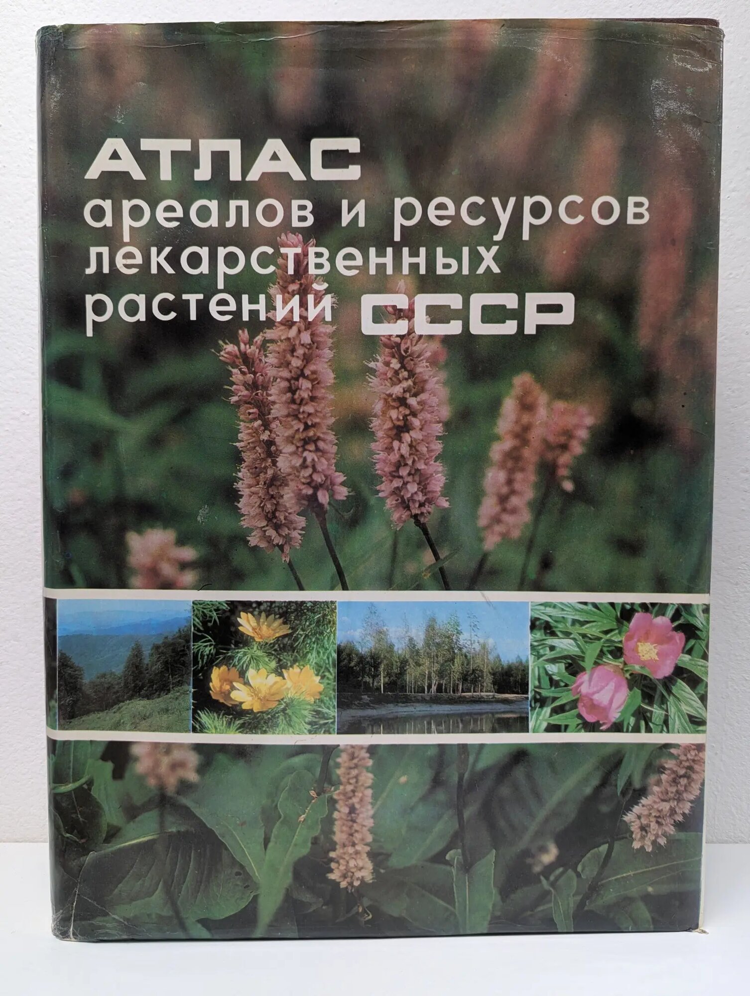 Атлас ареалов и ресурсов лекарственных растений СССР Сборник 1976