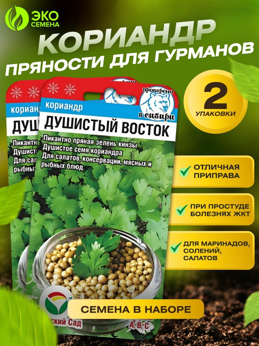 Семена Кориандр ( Кинза) Душистый Восток- набор 2 уп пряная зелень для посева