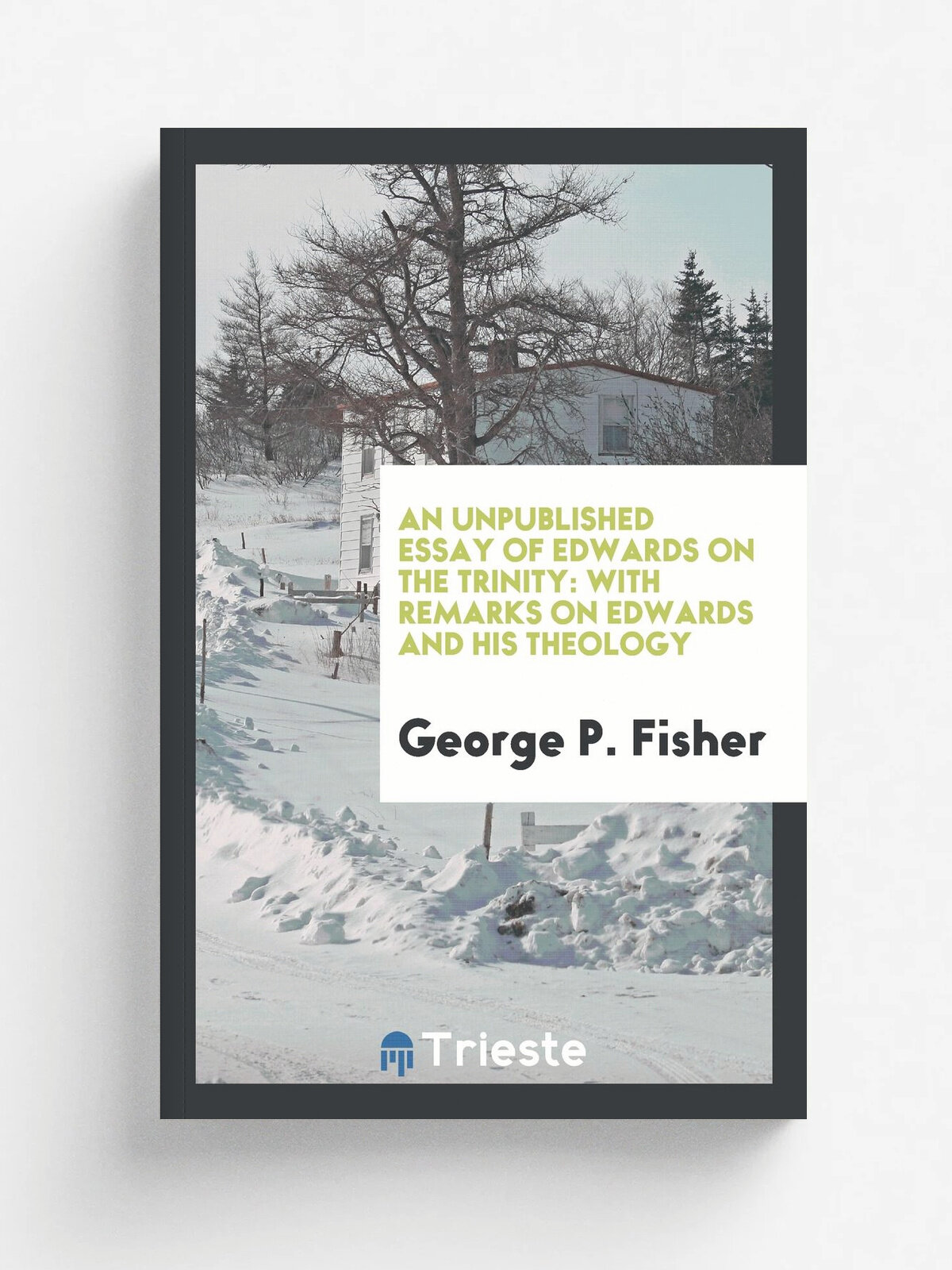 An Unpublished Essay of Edwards on the Trinity. With Remarks on Edwards and His Theology