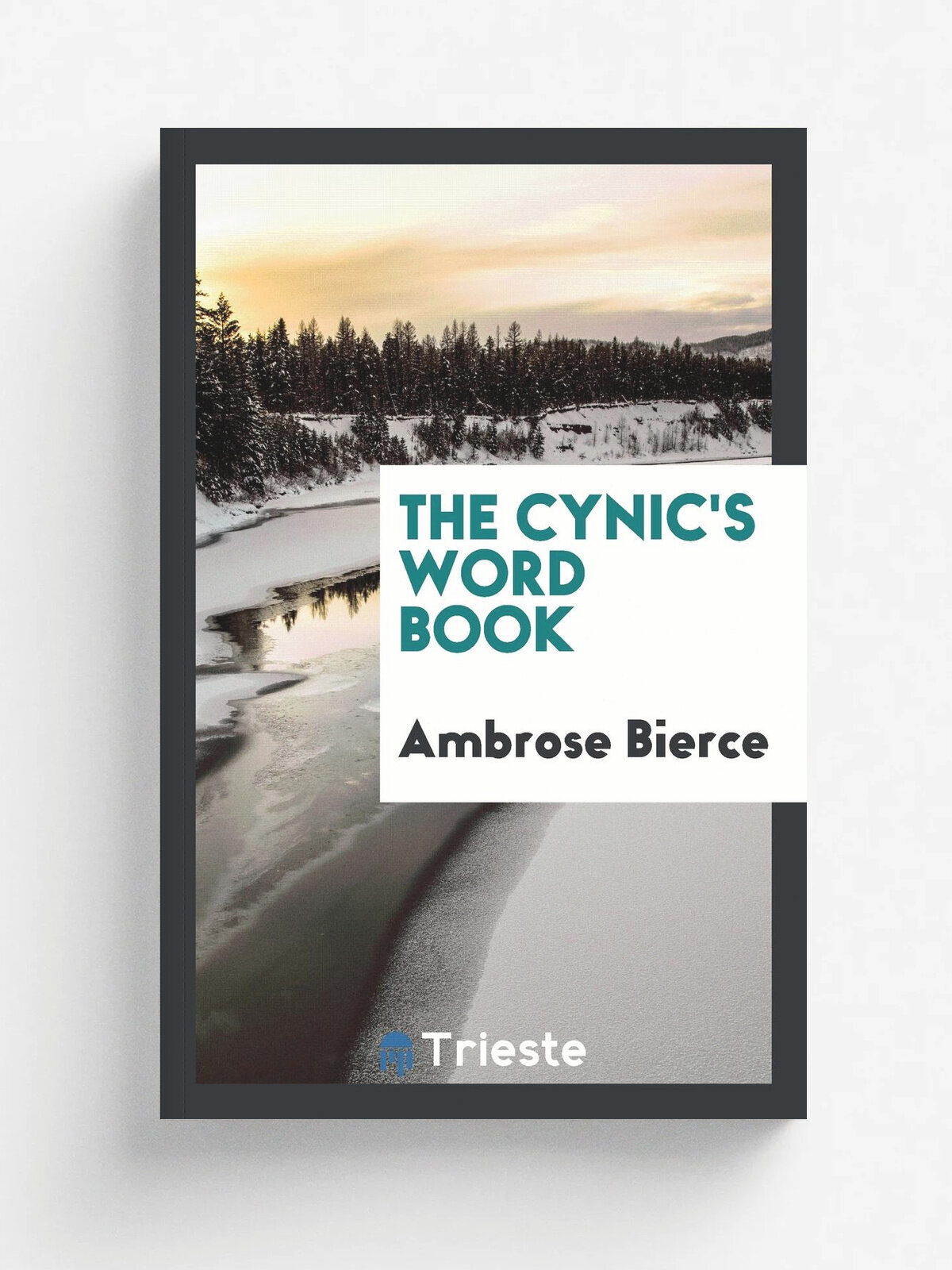 The cynic's word book