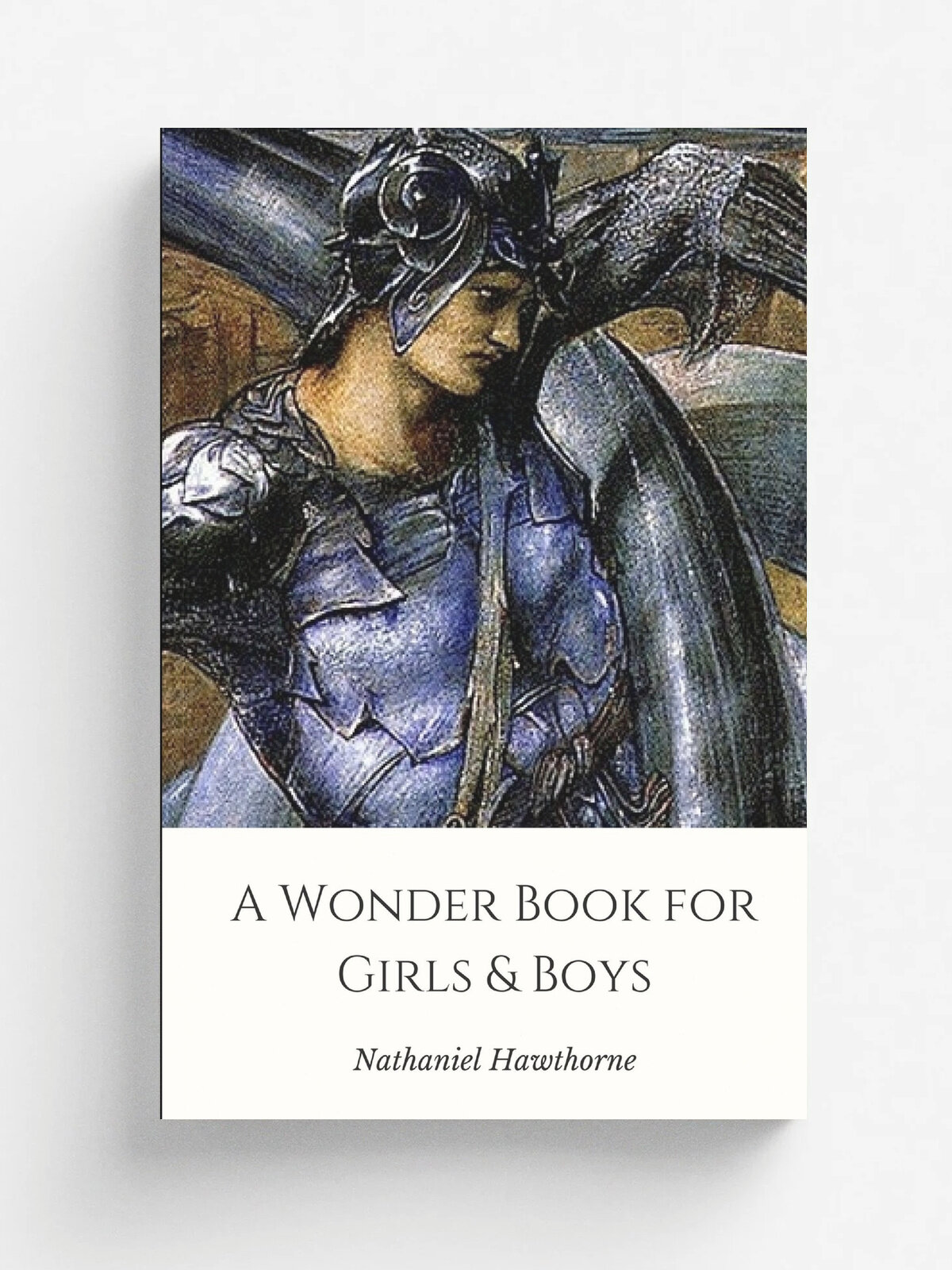 A Wonder Book for Girls & Boys