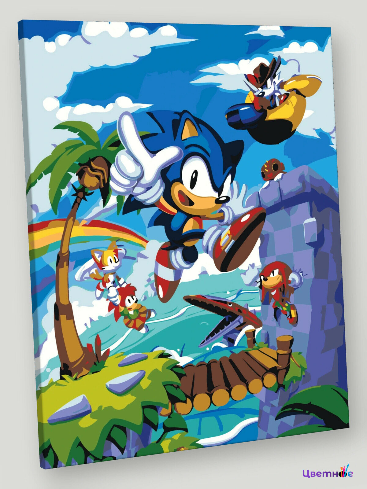 Картина по номерам на холсте с подрамником 40x50 "Игра Соник Sonic: ёж в тропиках арт", Мультфильмы