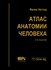 Атлас анатомии человека