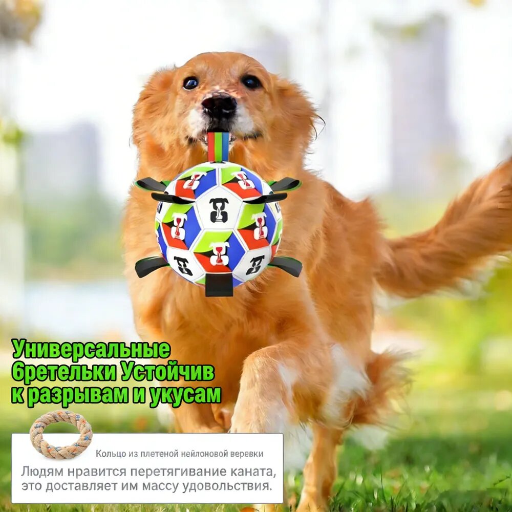 Новая игрушка для домашних животных pet toy 2026 World Cup dog football human pet interactive dog toy ball подходит для маленьких, средних и крупных собак