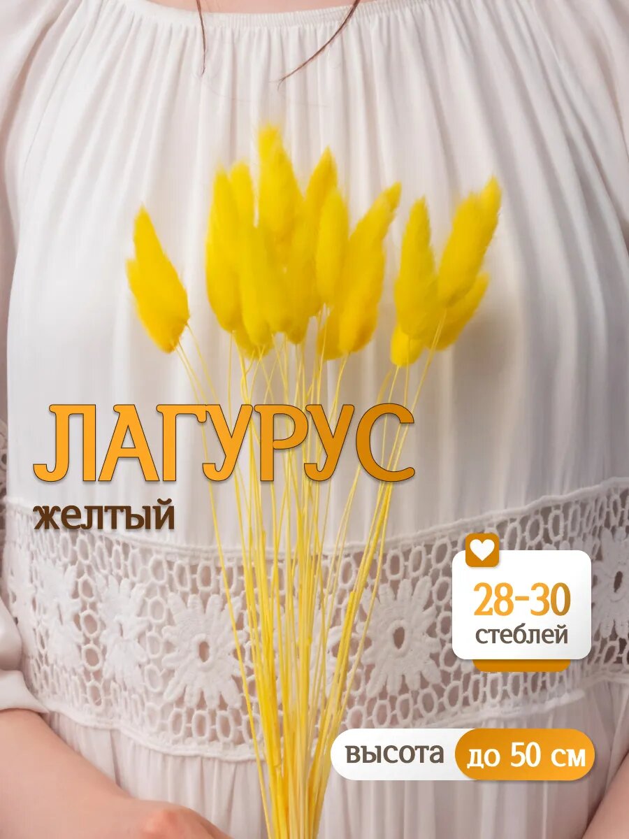 Лагурус желтый 28-30 шт, сухоцветы для декора и интерьера