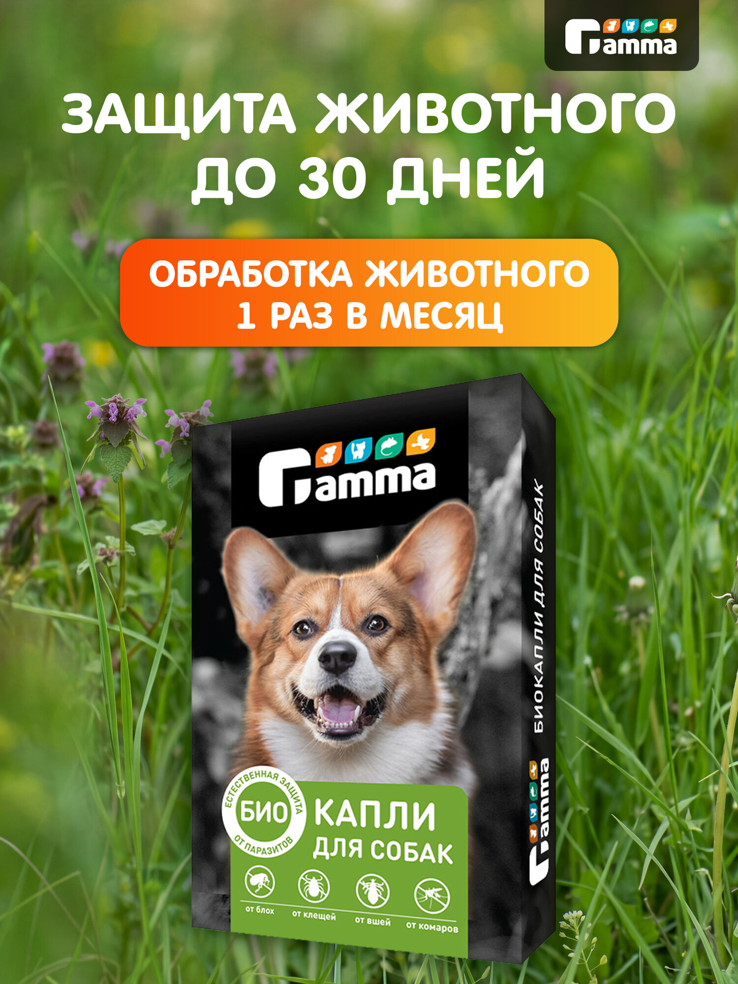 Биокапли для собак от внешних паразитов, 2 пипетки по 1мл. Gamma — фото 1