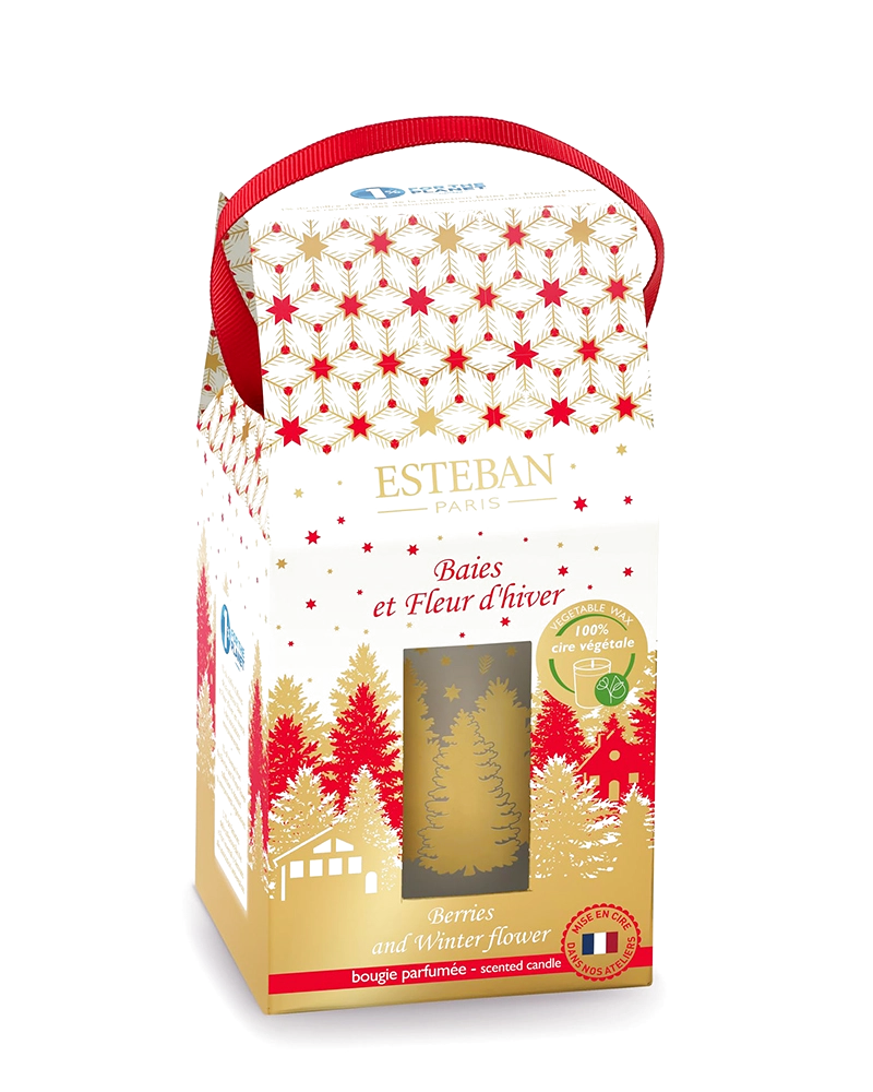 Ароматическая свеча Esteban Berries and Winter Flower 180 гр - Ягоды и Зимний Цветок для дома
