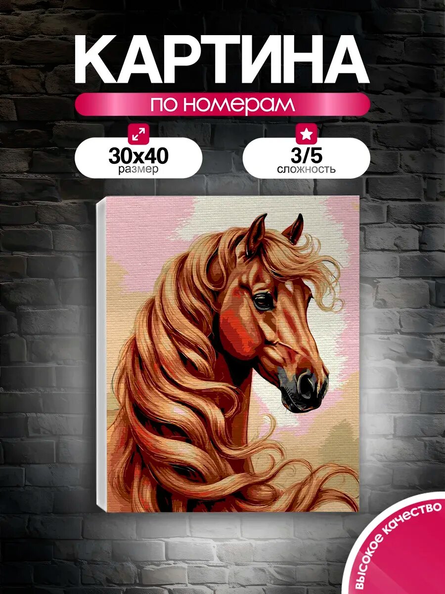 Картина по номерам 30x40 Золотая грива