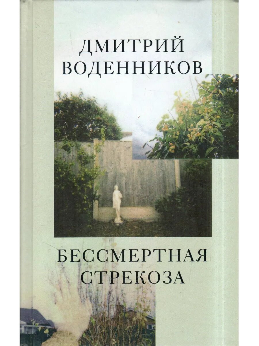 Бессмертная стрекоза
