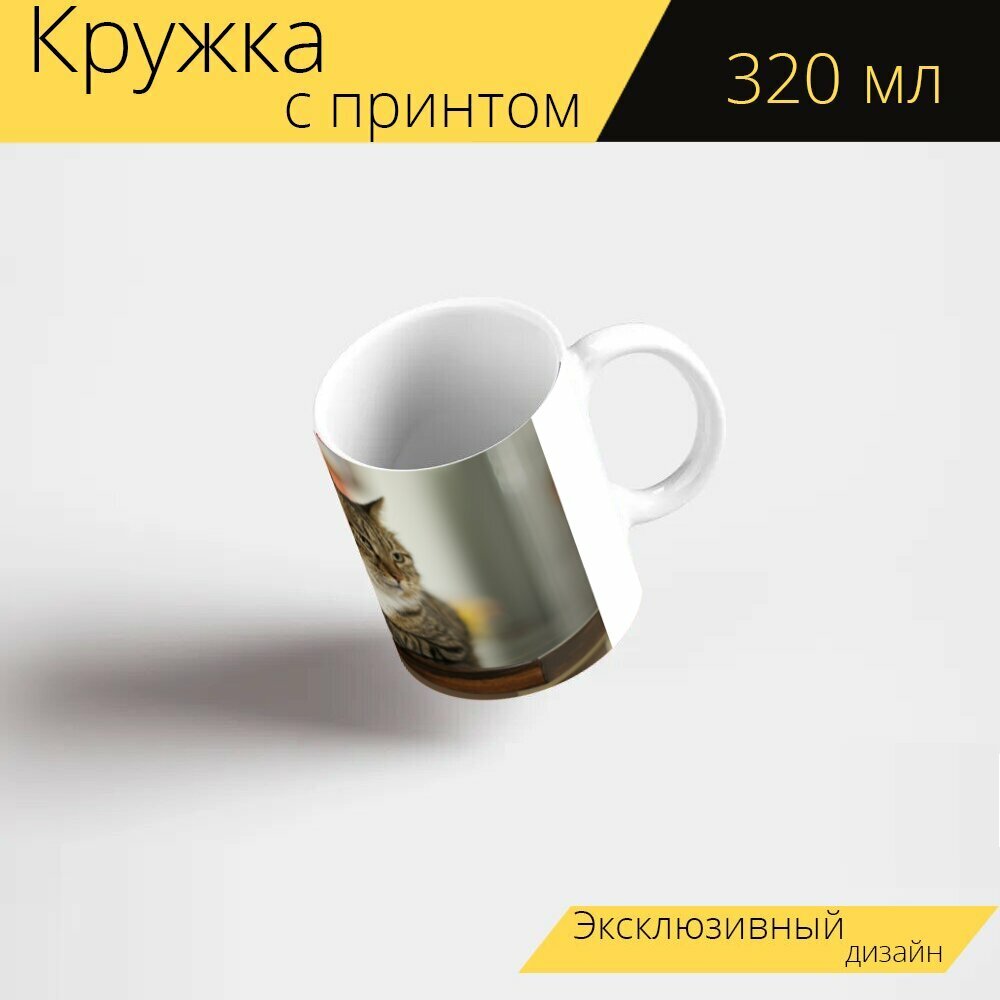 Кружка с рисунком, принтом "Китай шиншилла, leopard кошки, цветочная кошка" 320 мл.