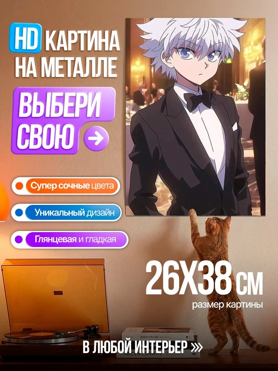 Картина на HD металле Киллуа Зольдик