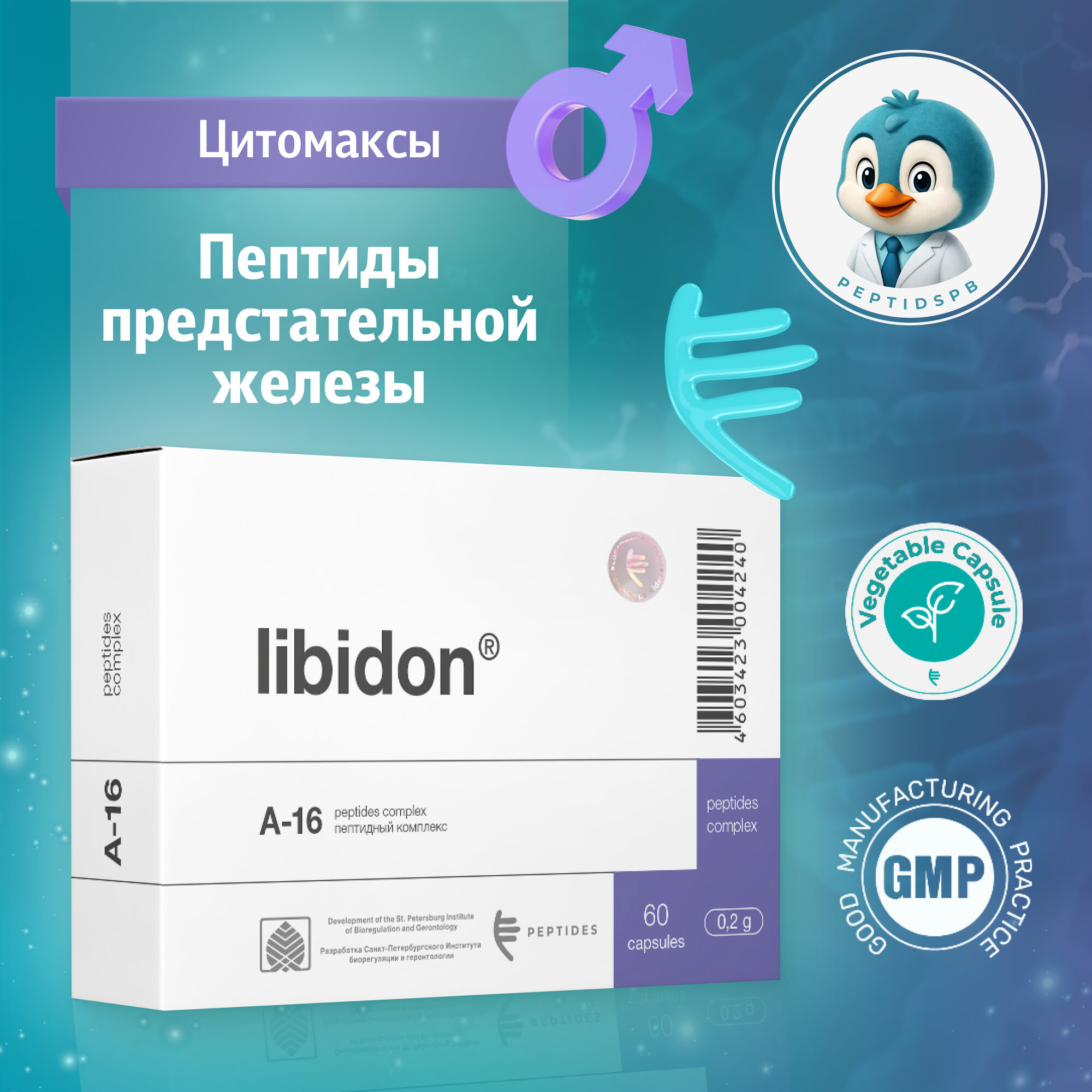 Либидон N60 - пептидный комплекс для предстательной железы поддержка мужской репродуктивной системы (60 капсул)