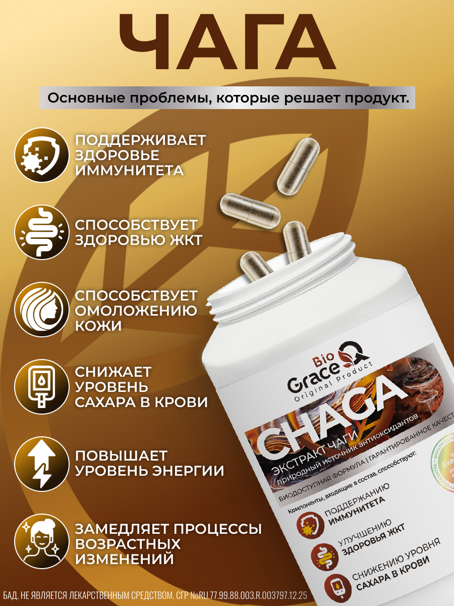 Чага экстракт GraceBioQ / Чага в капсулах для кишечника и детокса / Витамины для ЖКТ, 120 капсул — фото 1