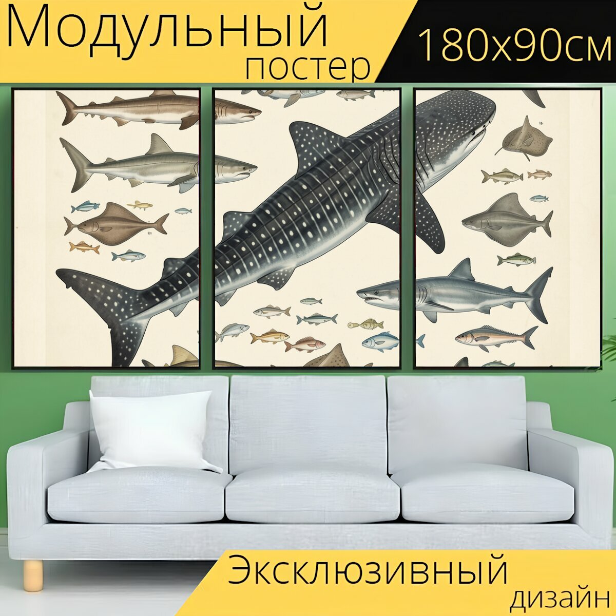 Модульный постер "Морские хищники и китовая акула. Натуралистическая винтажная композиция с разными акулами и рыбами на светлом." 180 x 90 см. для интерьера на стену в тубусе