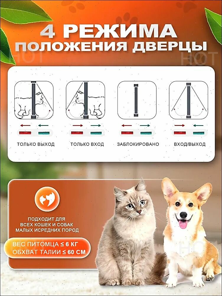 Дверца для кошек / Дверца для животных / Лаз для питомцев