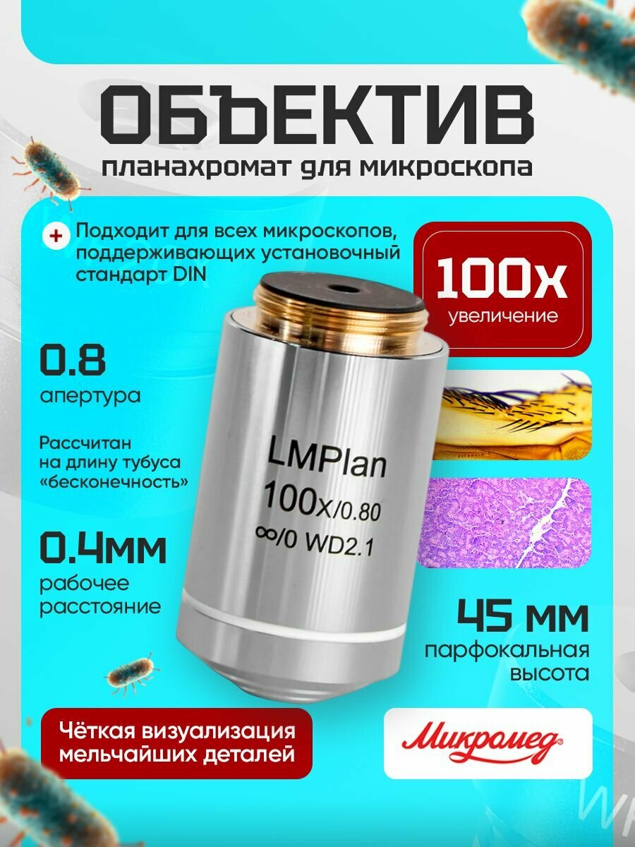 Объектив LM Plan 100x/0.80 беск/0 (DIN)