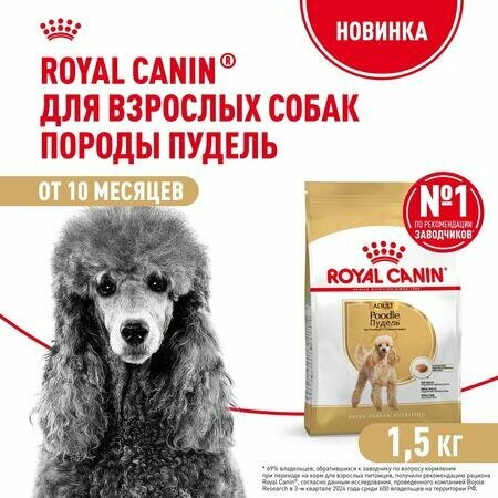 ROYAL CANIN POODLE ADULT 1,5 кг корм сухой полнорационный для взрослых собак породы пудель в возрасте старше 10 месяцев