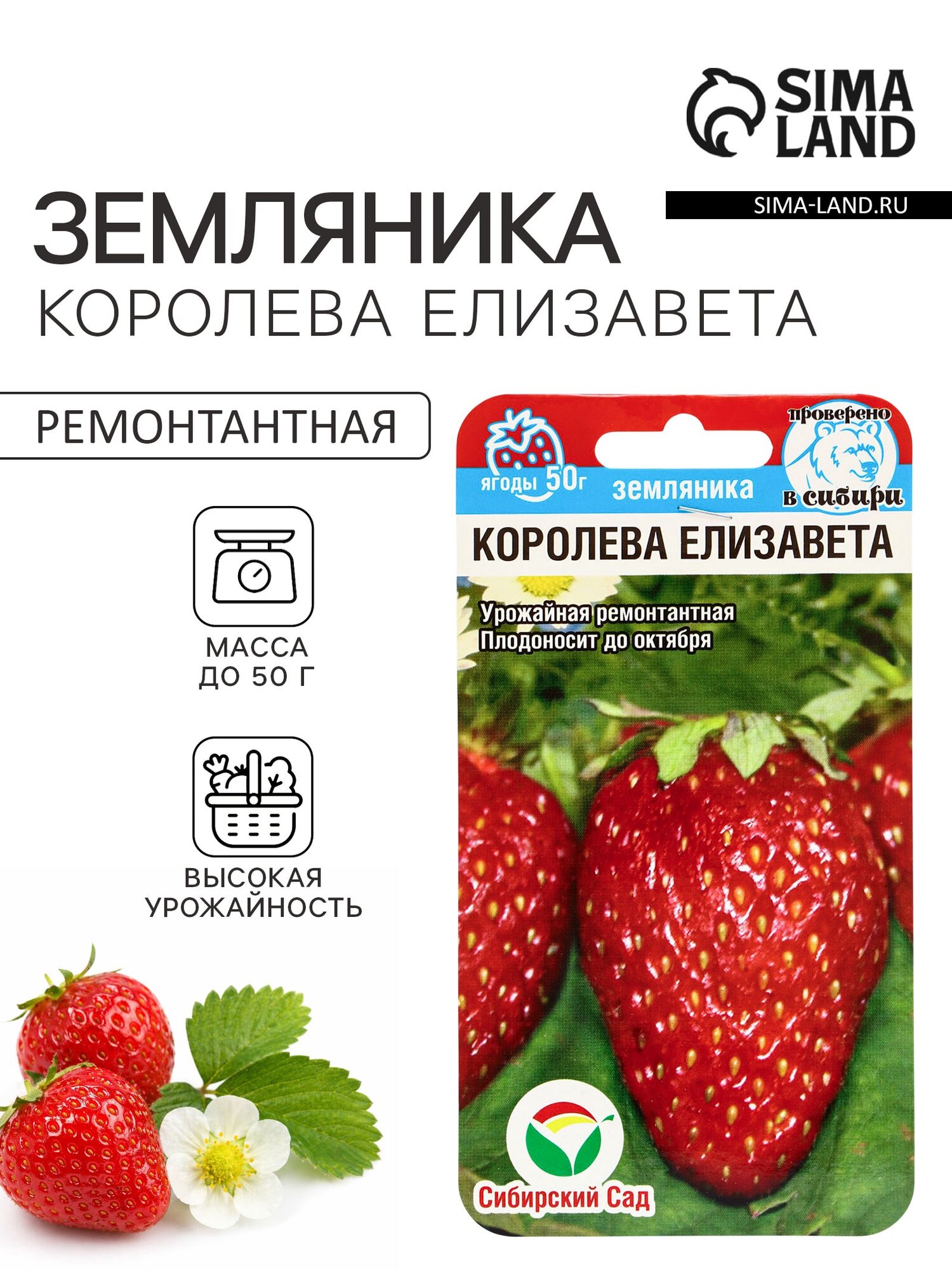 Семена Земляника «Королева Елизавета», 10 шт.