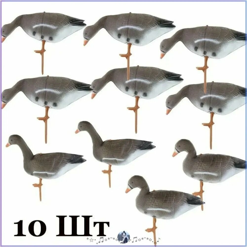 Приманка для охоты — фото 1