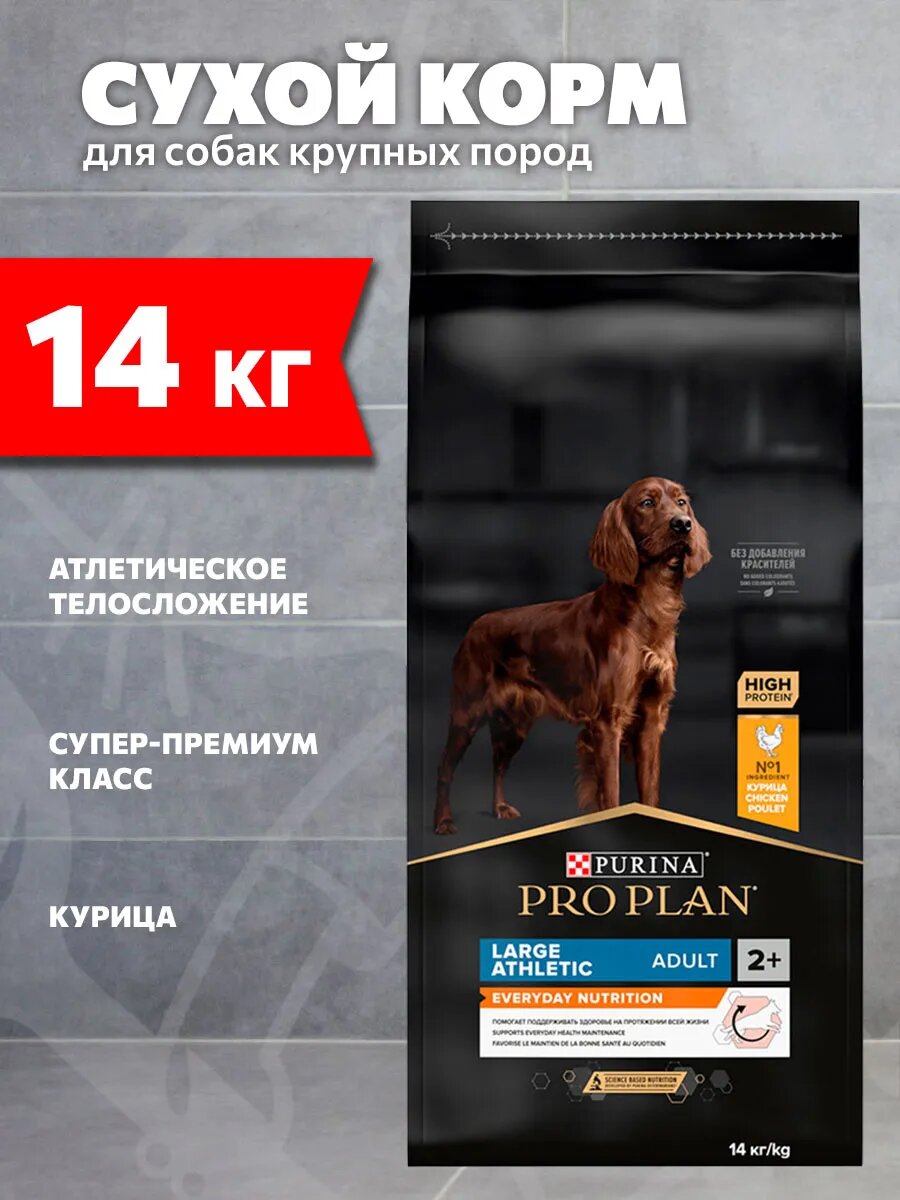Корм сухой Pro Plan Everyday Nutrition для взрослых собак крупных пород с атлетическим телосложением, курица, 14 кг