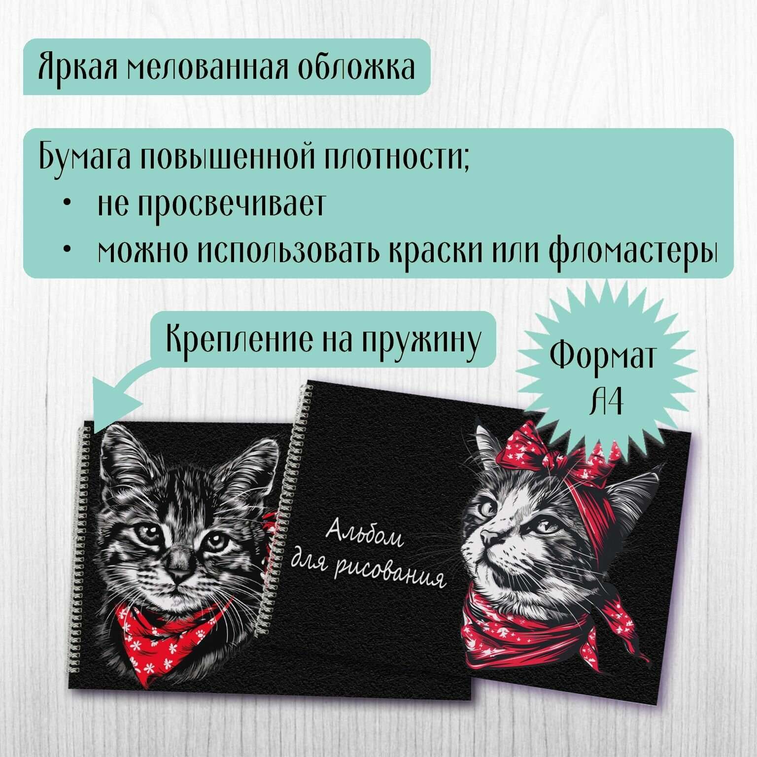 Альбомы для рисования Котики — фото 1