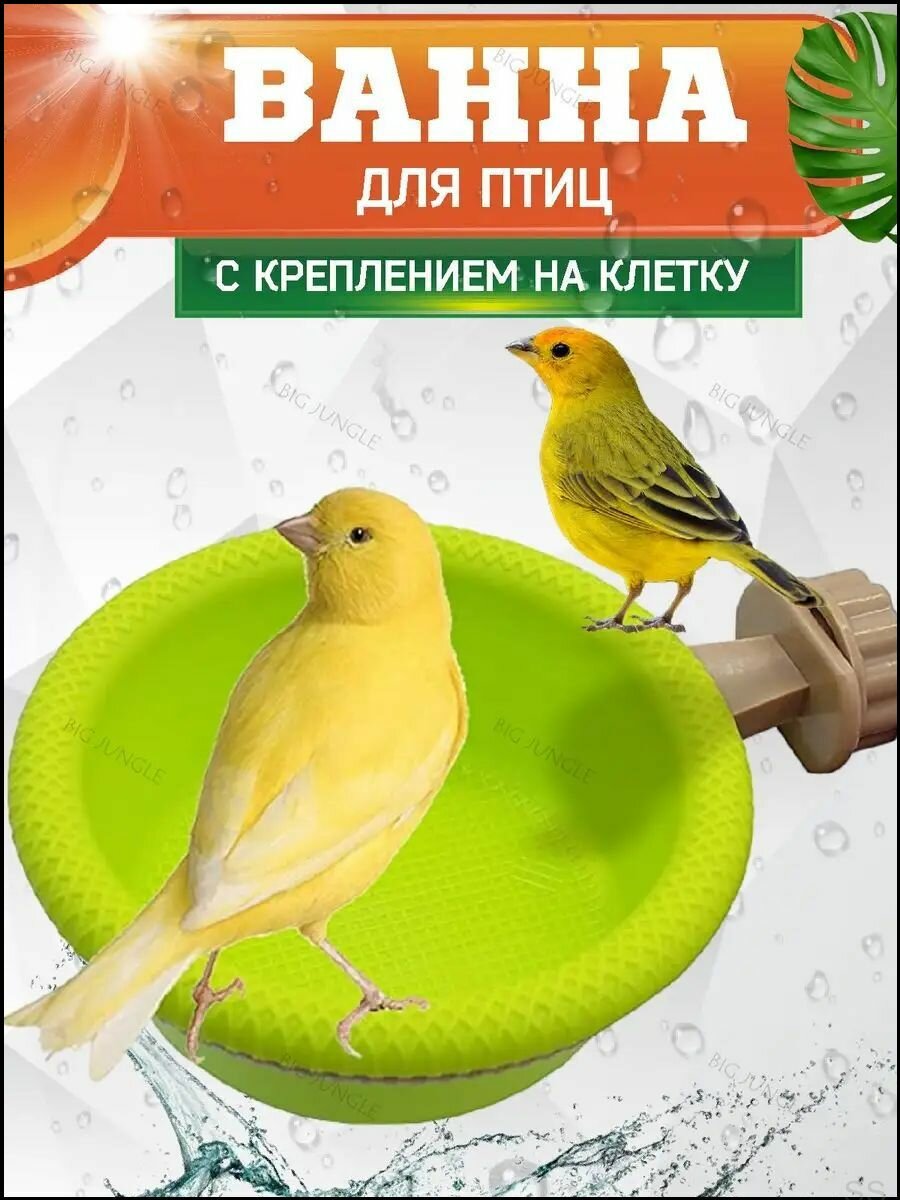Купалка для попугаев Big Jungle ванночка поилка для птиц