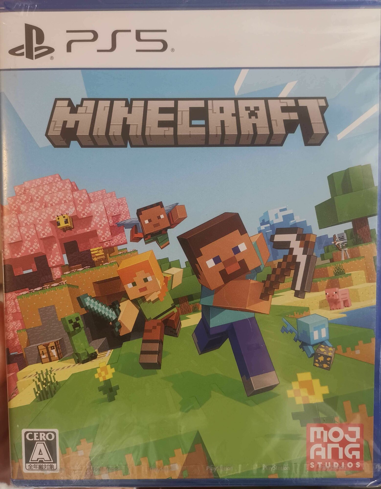 Мой мир: версия на базе (PlayStation 5, PlayStation 5 Pro)