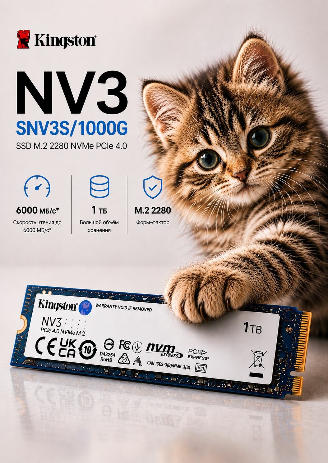 Kingston 1 ТБ Внутренний SSD-диск NV3 M.2 PCI-E 4.0, M.2, PCI-E 4.0 (SNV3S/1000G)