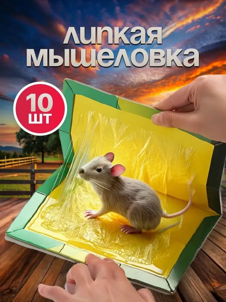 Липкая мышеловка 10 шт. Картонная ловушка для грызунов. Безопасный способ избавиться от мышей. Высокая липкость.