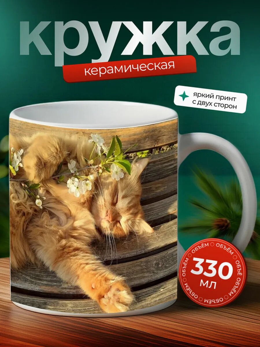 Кружка Эстетик кот 44,
