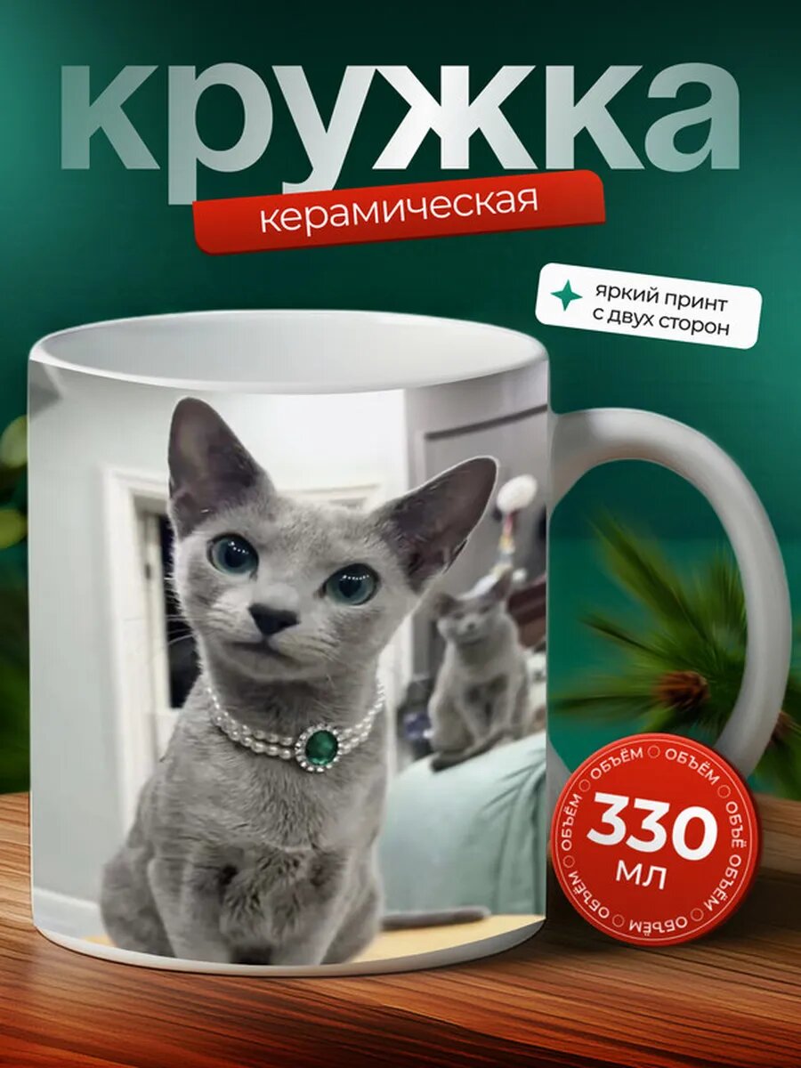 Кружка Бирманский синий кот 14,