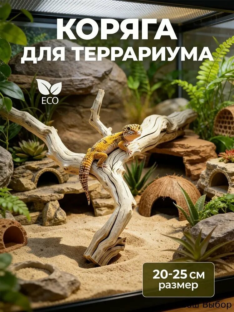 Натуральная коряга для террариума, ветка для лазания и укрытия рептилий, декор для ящериц, змей и хамелеонов