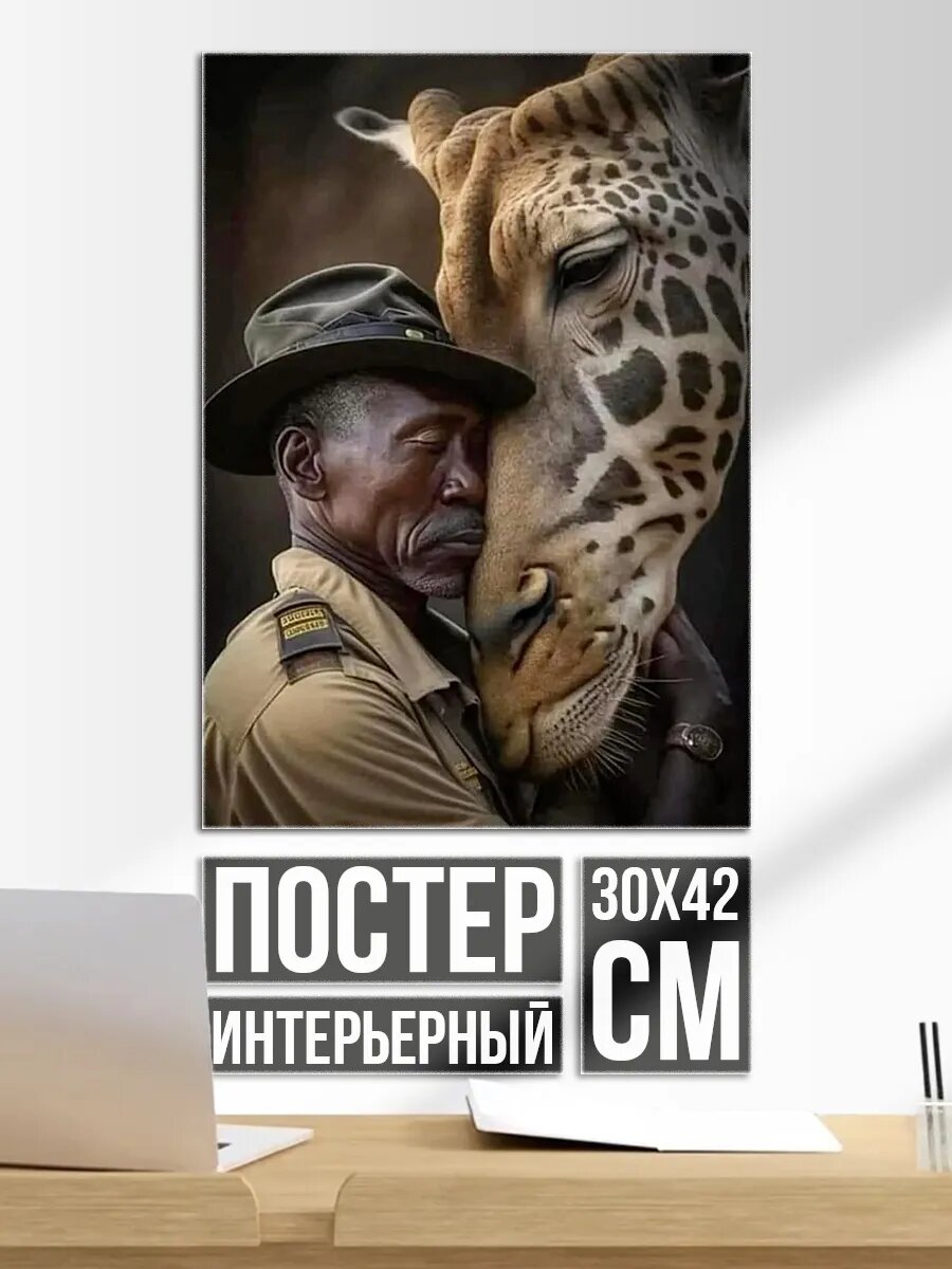 Плакат постер Дружба человека и жирафа