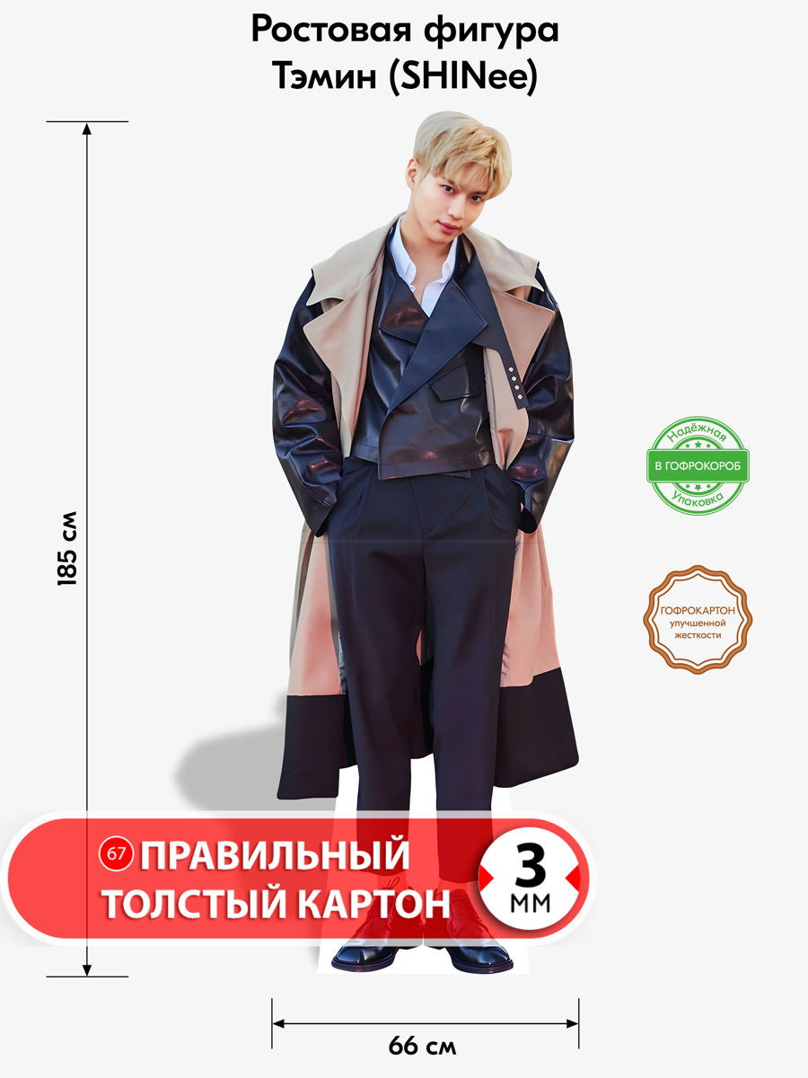 Аксессуар для фотосессий, самое это, Тэмин (SHINee) 1, ростовая фигура