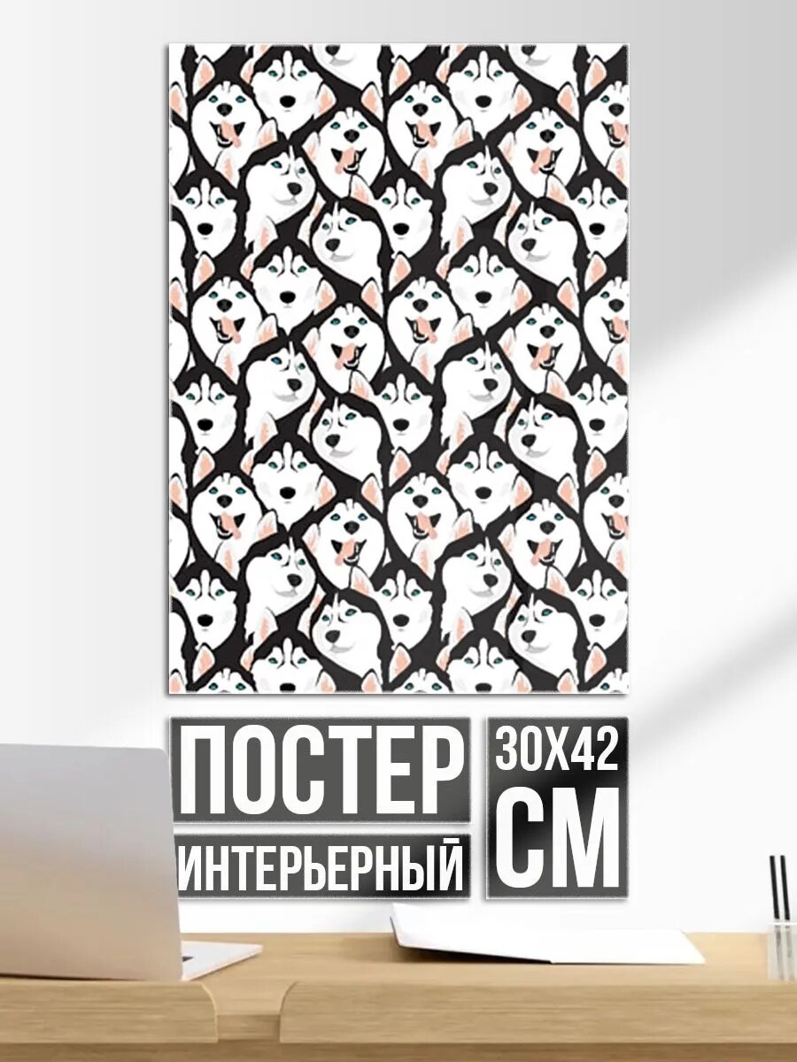 Постер на стену Сибирский Хаски Husky