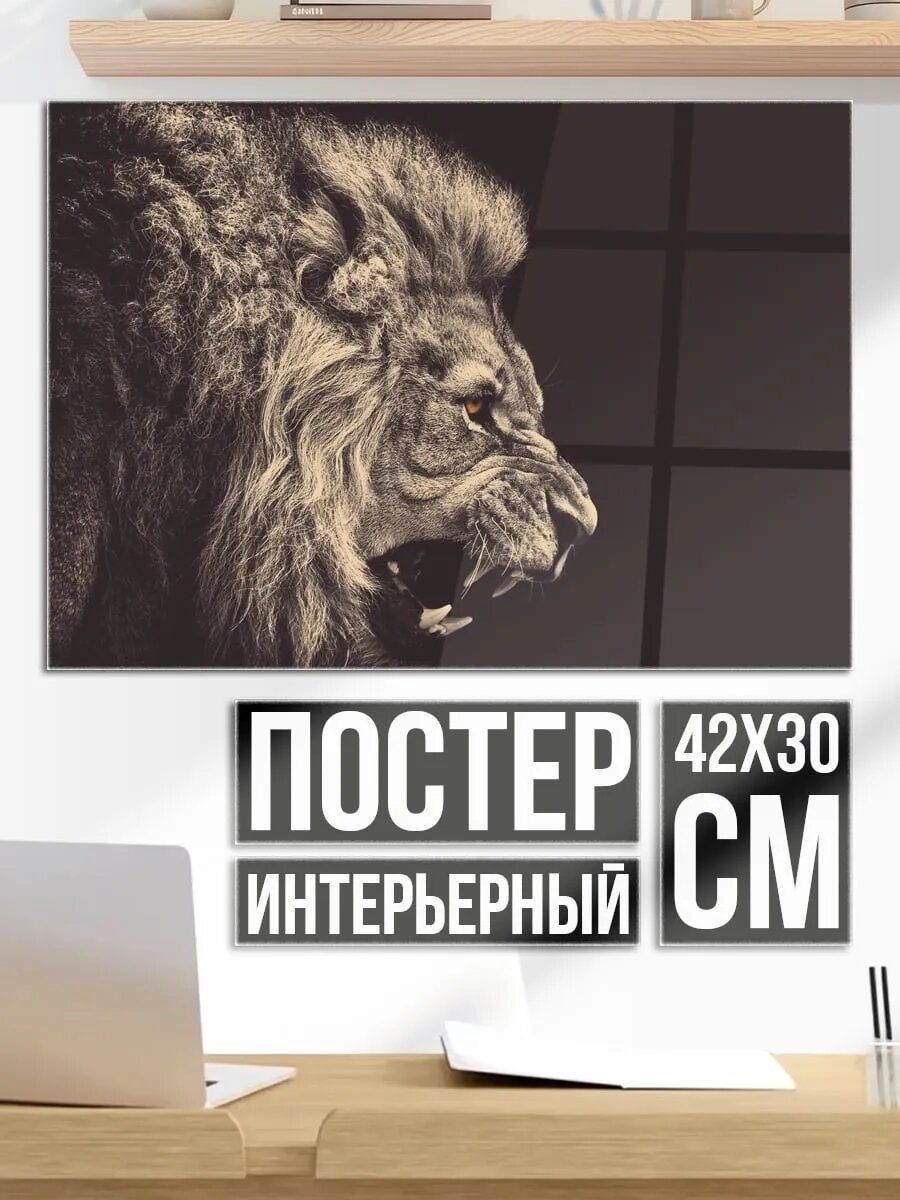 Плакат постер Лев рычит