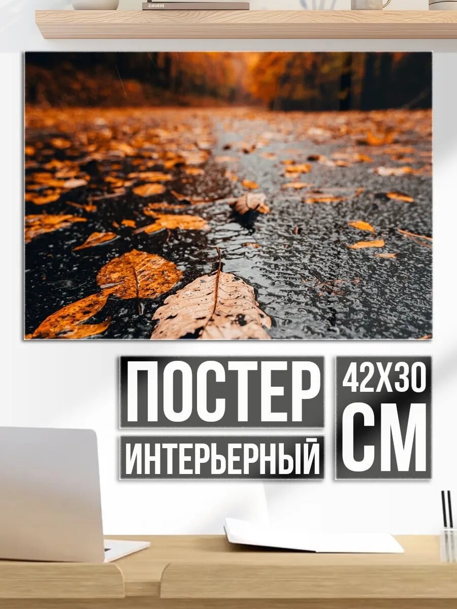 Плакат постер Осенняя дорога листья