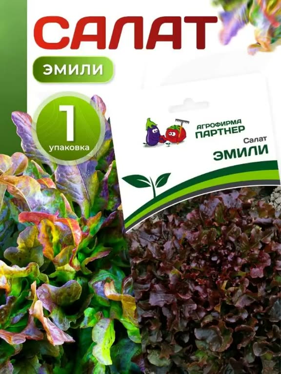 Семена салата Эмили — фото 1