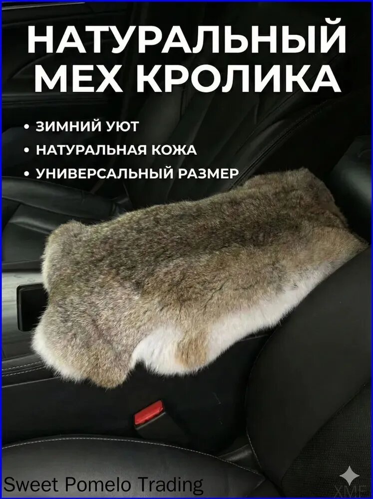 Шкура