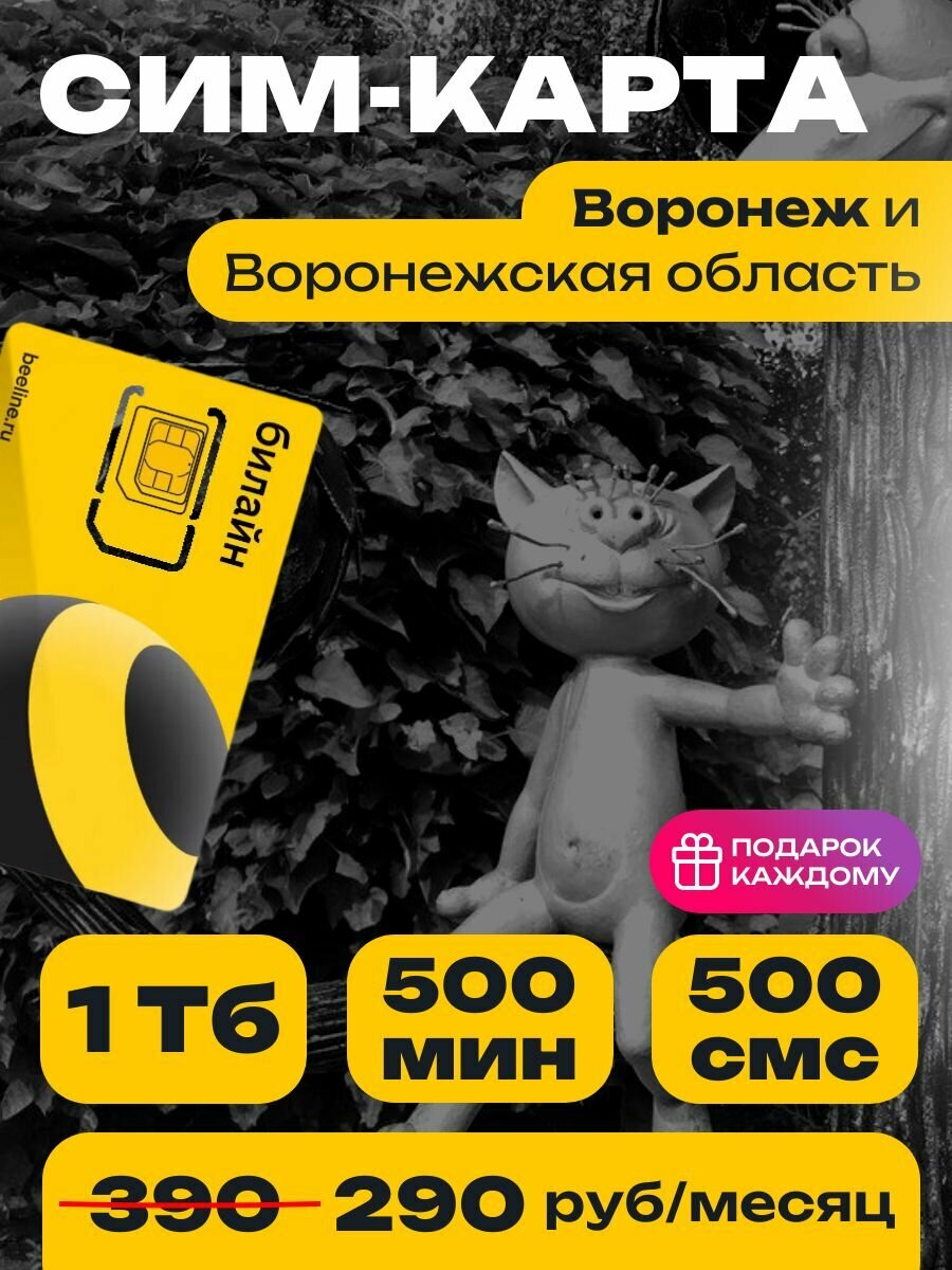 Сим-карта Билайн тариф Эксклюзивный Онлайн Лайт Воронежская область 1024 Гб + 500 минут за 290 руб.