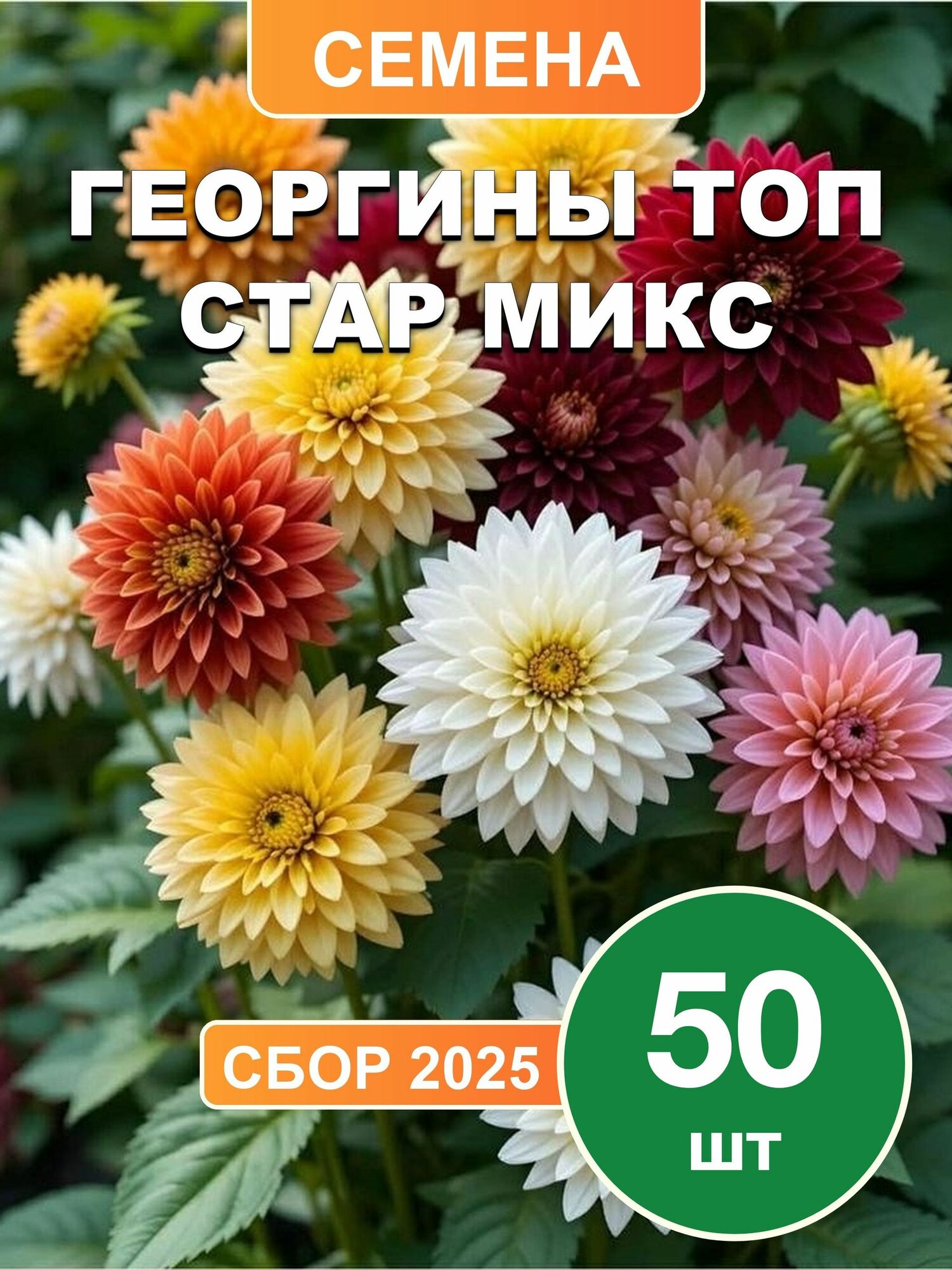 Георгины Топ Стар микс, семена, 50 шт